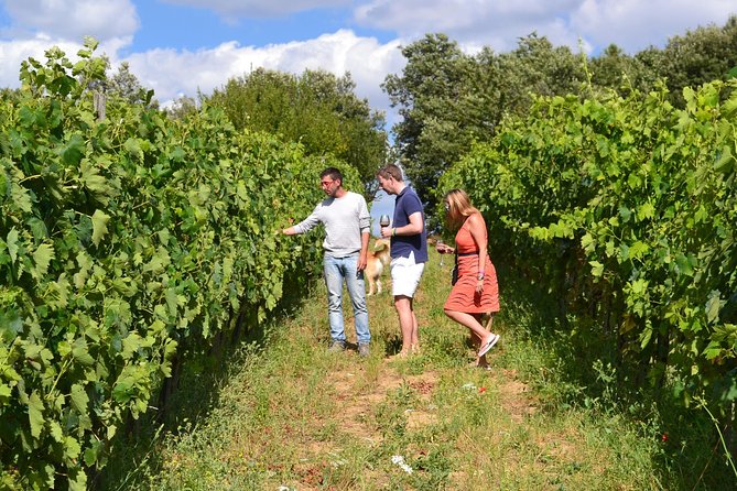 Small-Group Brunello Wine Tour of Montalcino from Florence - The Sum Up