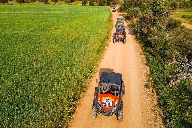 Small-Group Buggy Riding Safari in Algarve - Pricing and Cancellation