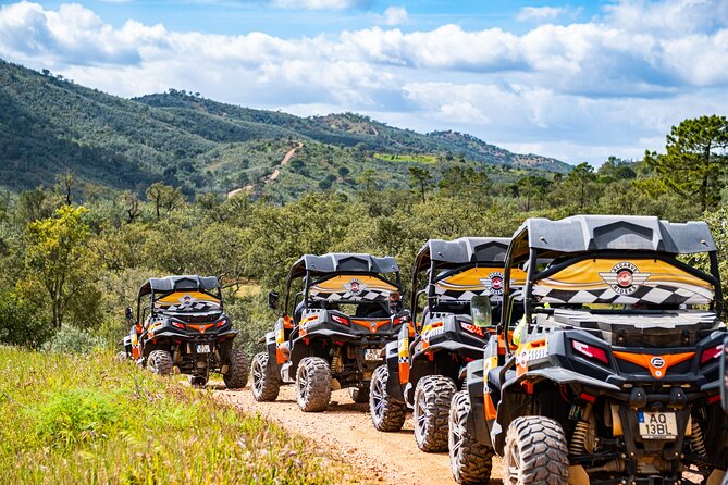 Small-Group Buggy Riding Safari in Algarve - Reviews and Feedback