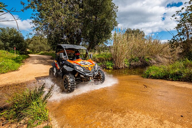 Small-Group Buggy Riding Safari in Algarve - The Thrill of Buggy Riding