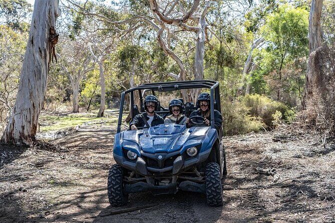 Small-Group Buggy Tour at Little Sahara with Guide - Key Points