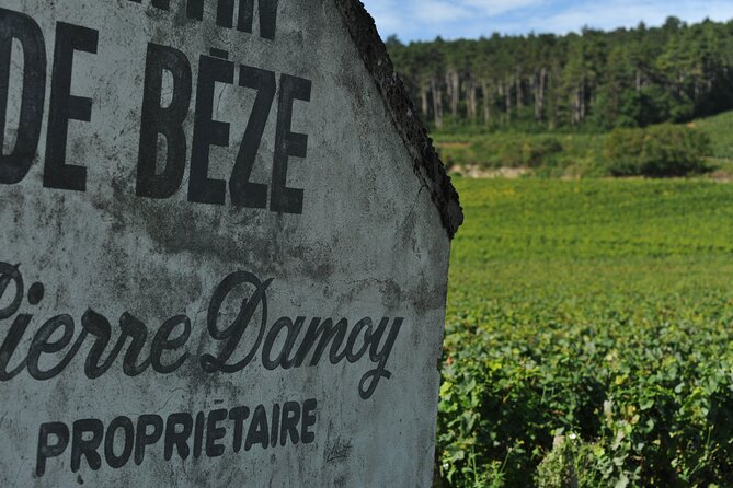 Small group Burgundy tour of Beaune with Wine Tasting from Dijon - The Sum Up