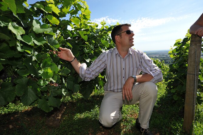 Small group Burgundy tour of Beaune with Wine Tasting from Dijon - FAQ