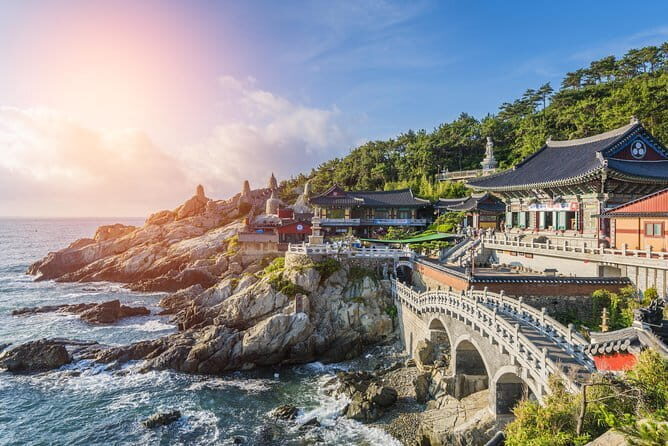 Small Group Busan Highlight Tour with Licensed Guide - Summary