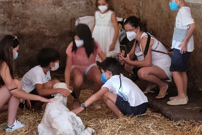 Small Group Cheese Making and Tasting From the Island of Baleares - Engaging Activities for Kids and Cheese Certificates