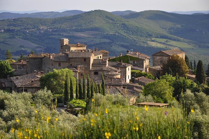 SMALL GROUP Chianti 2 wineries & lunch (max 8 people) - Who Will Love This Tour?