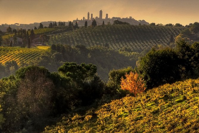 Small-Group Chianti and San Gimignano Sunset Trip From Siena - Dining and Wine Experience