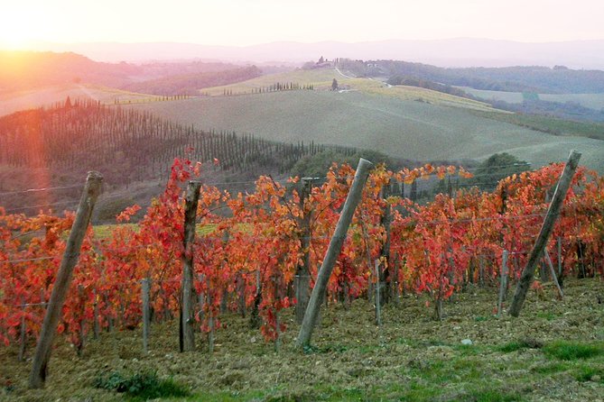 Small-Group Chianti and San Gimignano Sunset Trip From Siena - Savoring the Tuscan Sunset