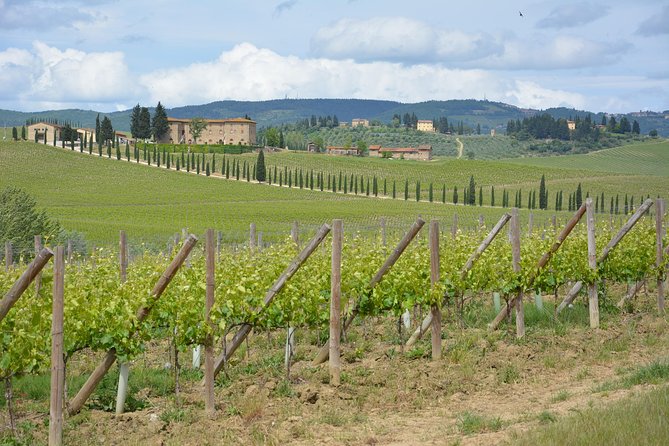 Small Group Chianti Tour Review - Tuscan Lunch Experience