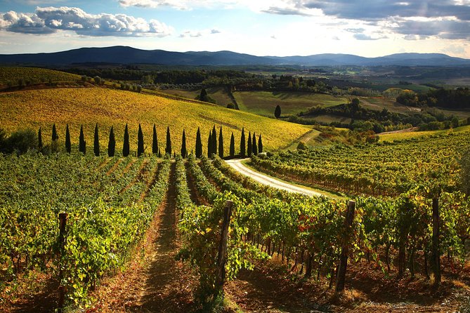 Small-Group Chianti Trip With Wine Tasting From Siena - Guest Reviews and Feedback