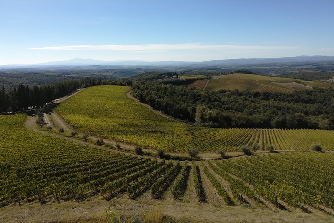 Small-Group Chianti Trip With Wine Tasting From Siena - Discovering the Medieval Village of Castello Di Vertine