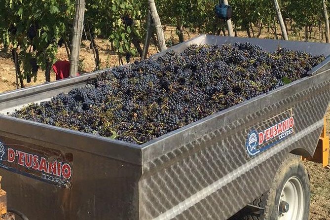 Small Group Chianti Wine Tasting With Seven Tuscan Wines - Tuscan Lunch and Culinary Offerings