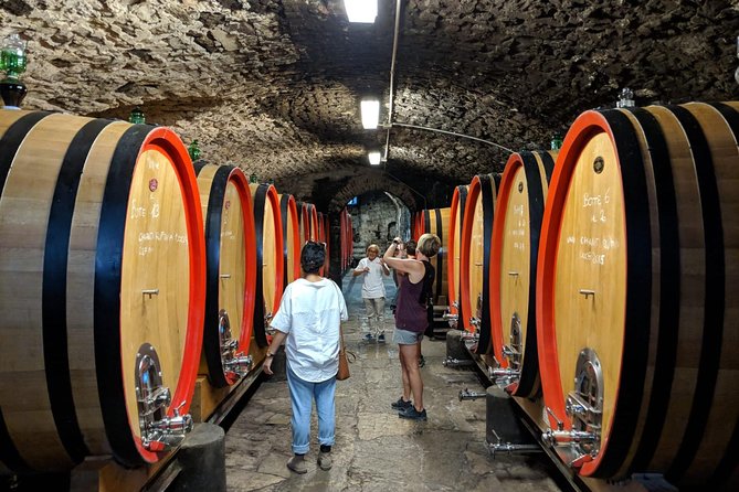 Small Group Chianti Wine Tasting With Seven Tuscan Wines - Booking and Cancellation Policy