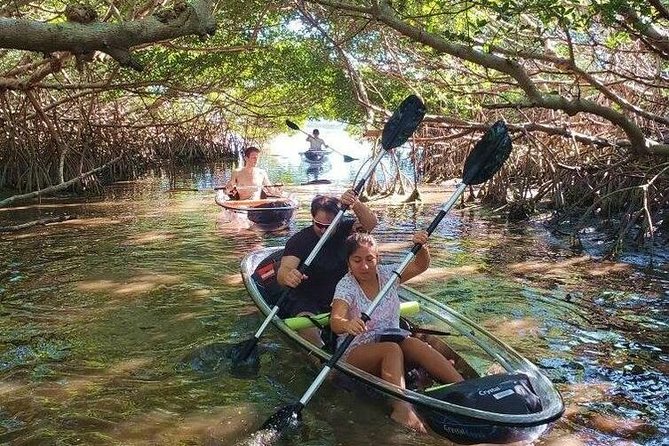 Small-Group Clear Kayak Tour in Shell Key - Inclusions and Restrictions