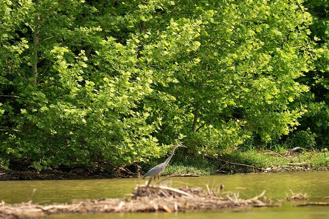 Small Group Clear Kayak Tour of Old Hickory Lake - Who Will Love This Tour?