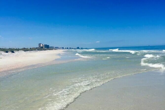 Small Group Clearwater Beach, Dolphin Watch Day Tour from Orlando - The Value of This Tour