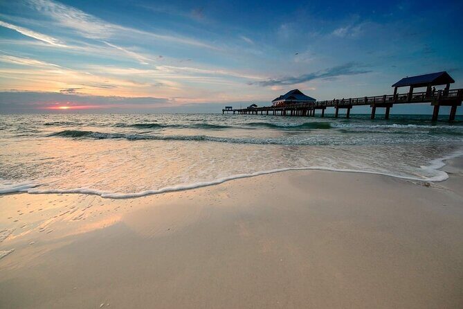 Small Group Clearwater Beach, Dolphin Watch Day Tour from Orlando - Who Would Love This Tour?