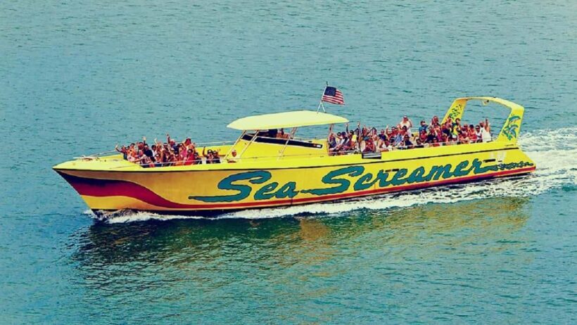 Small Group Clearwater Beach,Dolphin Watch Tour from Orlando - An Overview of the Experience
