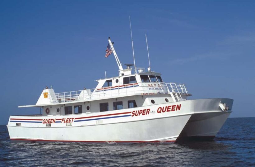 Small Group Clearwater Beach,Dolphin Watch Tour from Orlando - What the Reviews Say
