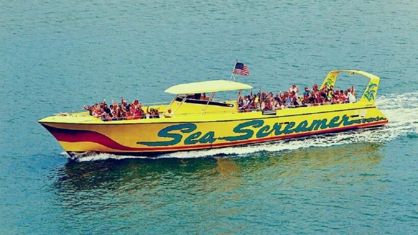Small Group Clearwater Beach,Dolphin Watch Tour from Orlando - Who Should Consider This Tour?