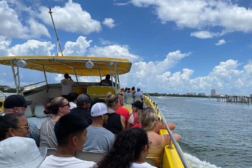 Small Group Clearwater Beach,Dolphin Watch Tour from Orlando - The Sum Up: Is This the Right Tour for You?