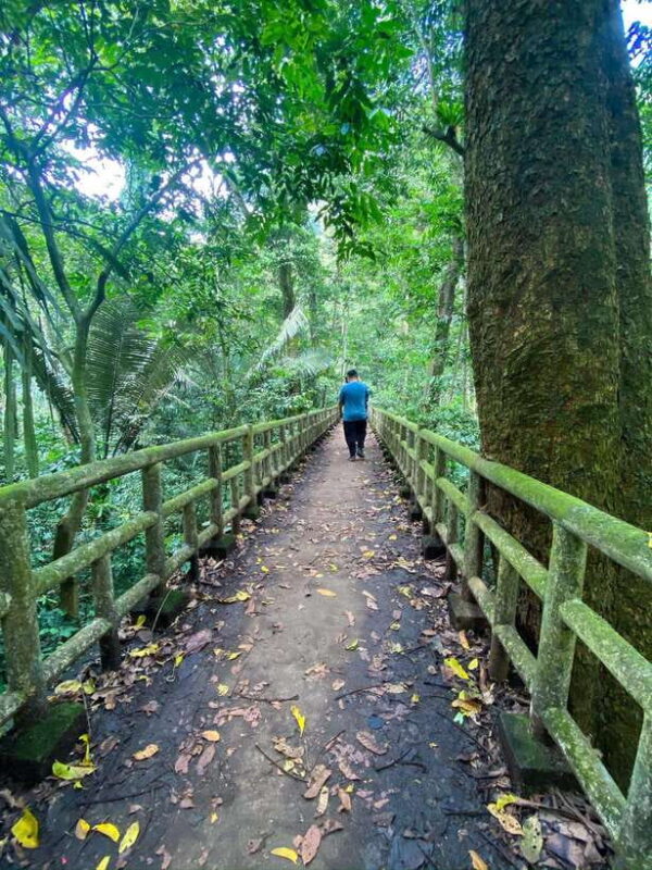 Small Group: CucPhuong National Park 1 day pick up Ninh Binh - Key Points