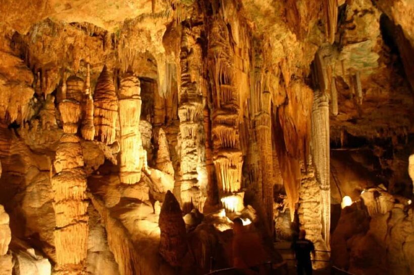 Small-Group D.C. Day Trip to Shenandoah Park & Luray Cavern - Visiting Luray Caverns