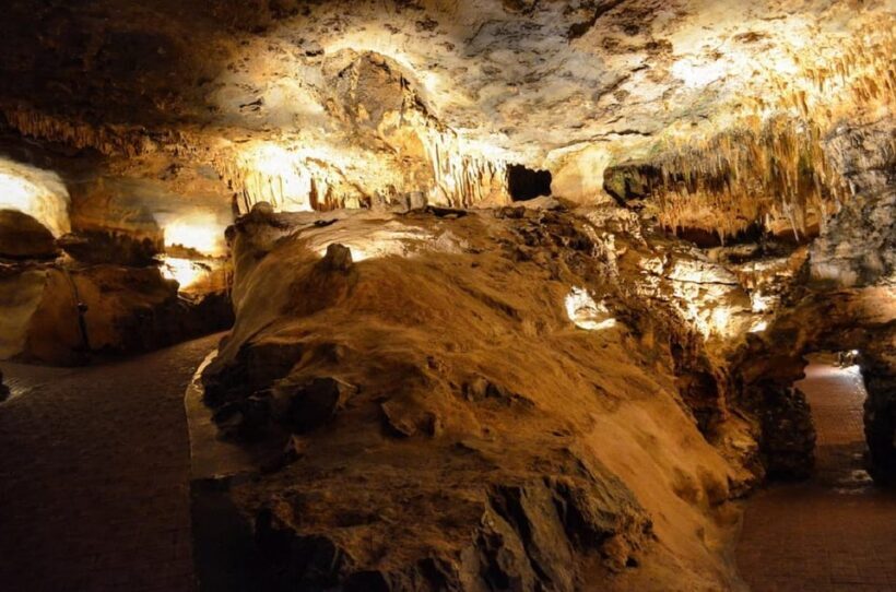 Small-Group D.C. Day Trip to Shenandoah Park & Luray Cavern - The Value of the Tour
