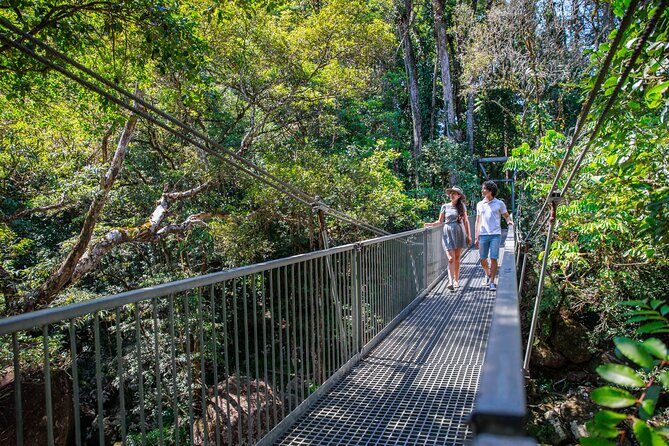 Small Group Daintree Rainforest and Aboriginal Coastal Adventure - Who Will Love This Tour?