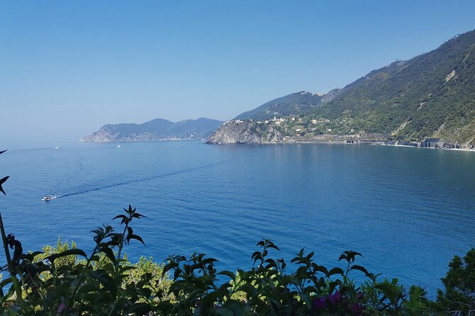 Small Group Day Tour in Cinque Terre and Pisa From Florence - Customer Reviews and Experiences