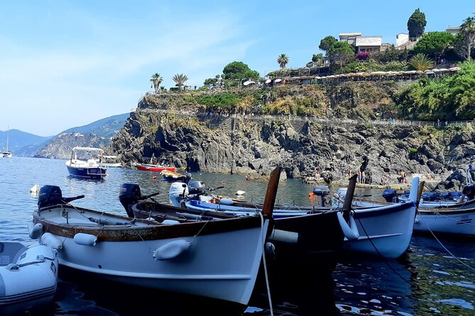 Small Group Day Tour in Cinque Terre and Pisa From Florence - Admiring Pisas Leaning Tower