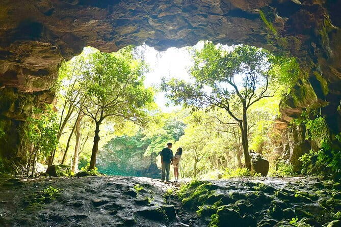 Small Group Day Tour in East Jeju Healing Island - Key Points