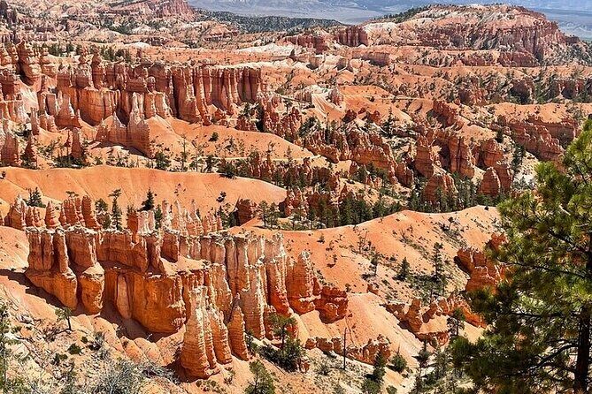 Small Group Day Tour To Explore Bryce Canyon & Zion National Park - The Sum Up: Who Should Consider This Tour?