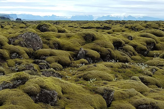Small Group Day Tour to Lakagigar Volcano by Super Jeep From Klaustur - Traversing the Glacial Landscapes