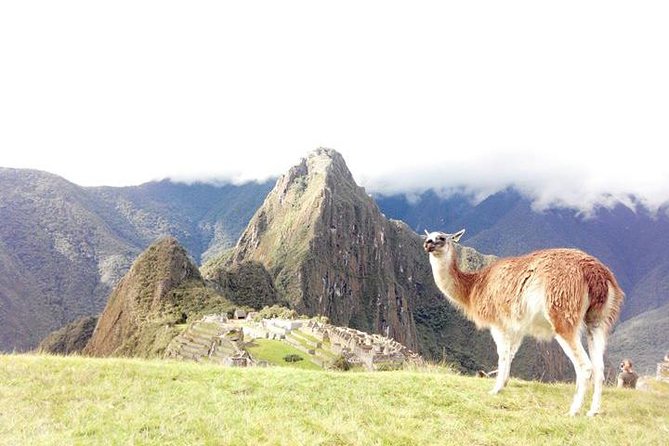 Small-Group Day Tour to Machu Picchu - Journey Details