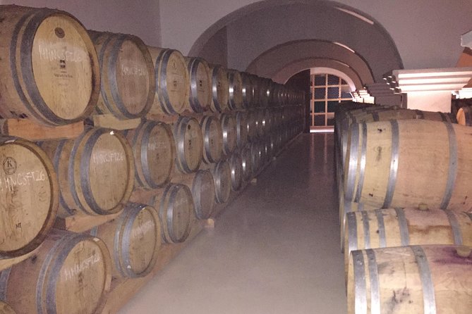 Small group Day Trip to Evora and Monsaraz from Lisbon with wine tasting - Pricing and Value