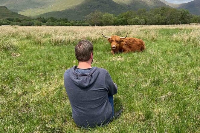 Small Group Day Trip to the Stunning Scottish Highlands & Glencoe - The Sum Up