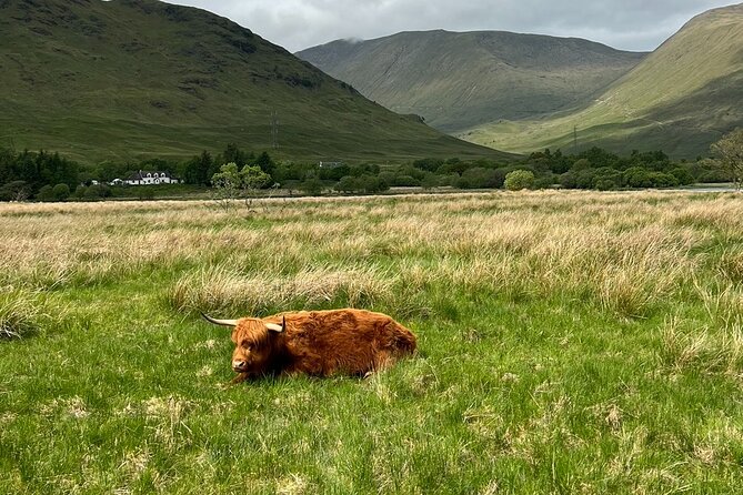 Small Group Day Trip to the Stunning Scottish Highlands & Glencoe - FAQ