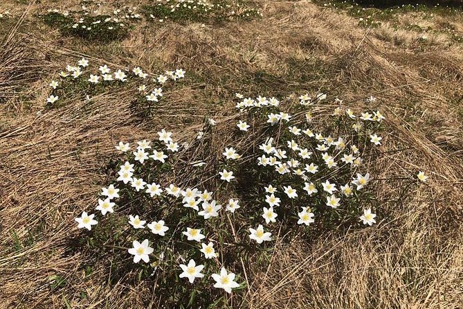 Small-group day trip to the unique volcanic lake in Eastern Europe - The Sum Up