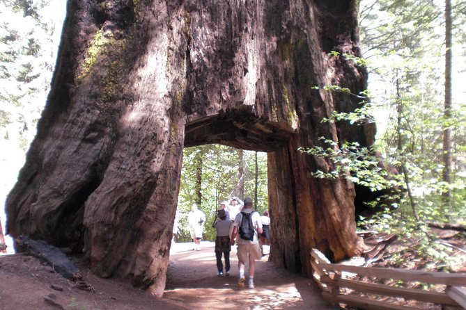 Small-Group Day Trip to Yosemite From Lake Tahoe - Itinerary and Activities