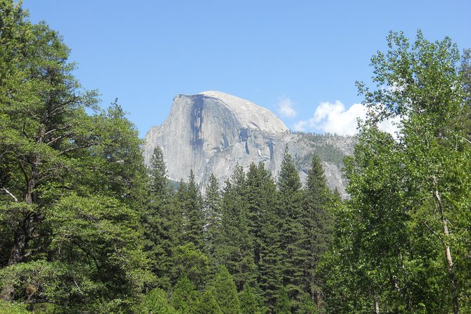 Small-Group Day Trip to Yosemite From Lake Tahoe - Safety and Health Considerations