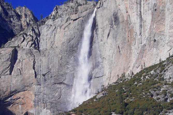 Small-Group Day Trip to Yosemite From Lake Tahoe - Addressing Safety Concerns