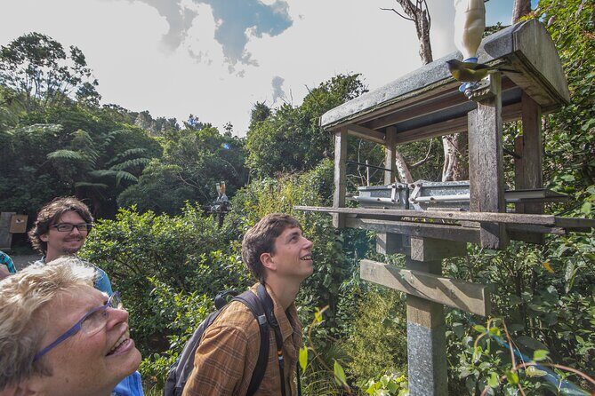 Small Group Daytime 2-Hour Eco Wildlife Tour at Zealandia - What is Zealandia and Why Visit?