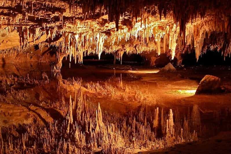 Small-Group DC Day Trip to Shenandoah Park&Luray Cavern - Transportation & Group Size