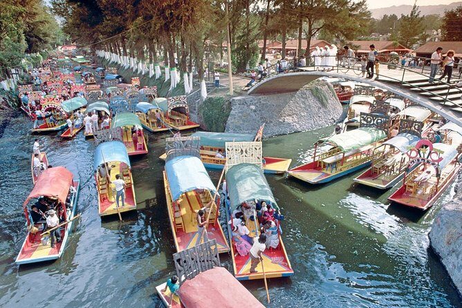 Small Group: Discover Xochimilco, Coyoacán, Frida Kahlo Museum and House - Why This Tour Represents Good Value
