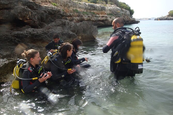 Small Group Diving Adventure in Menorca Review - Meeting Point and Pickup Arrangements