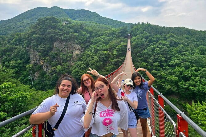 Small Group DMZ Tour from Seoul Korea with North Korean Defector - The Experience: What You’ll See and Feel