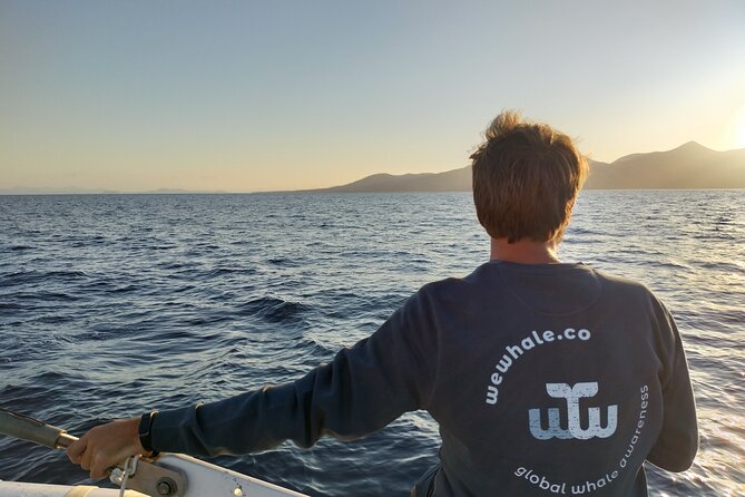 Small Group Dolphin Sunset Tour on Electric Catamaran Lanzarote - An Honest Look at the Experience