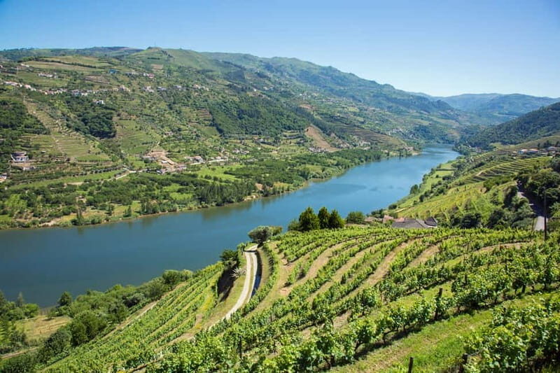 Small Group: Douro Valley Wine Tasting from Porto - Analyzing the Value