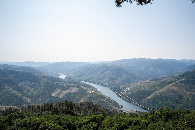 Small Group Douro Valley Wine Tour with Lunch and Cruise - Who Will Love This Tour?